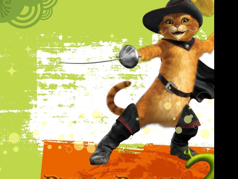 Wallpaper.cz > Příroda > Fauna > kocour v botach (shrek) > Stažení 800x600