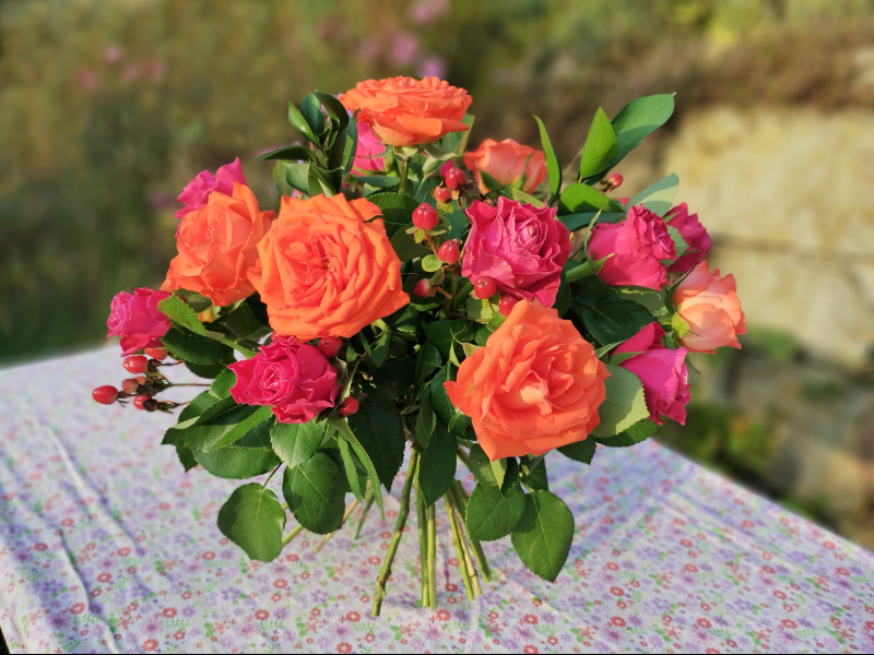 Wallpaper.cz > Příroda > Flora > Růže na stole > Stažení 800x600